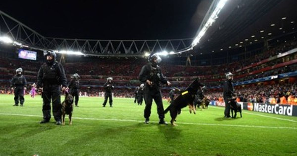 Aumenta violenza negli stadi, +22% feriti in serie A e B Aumenta violenza negli stadi, +22% feriti in serie A e B