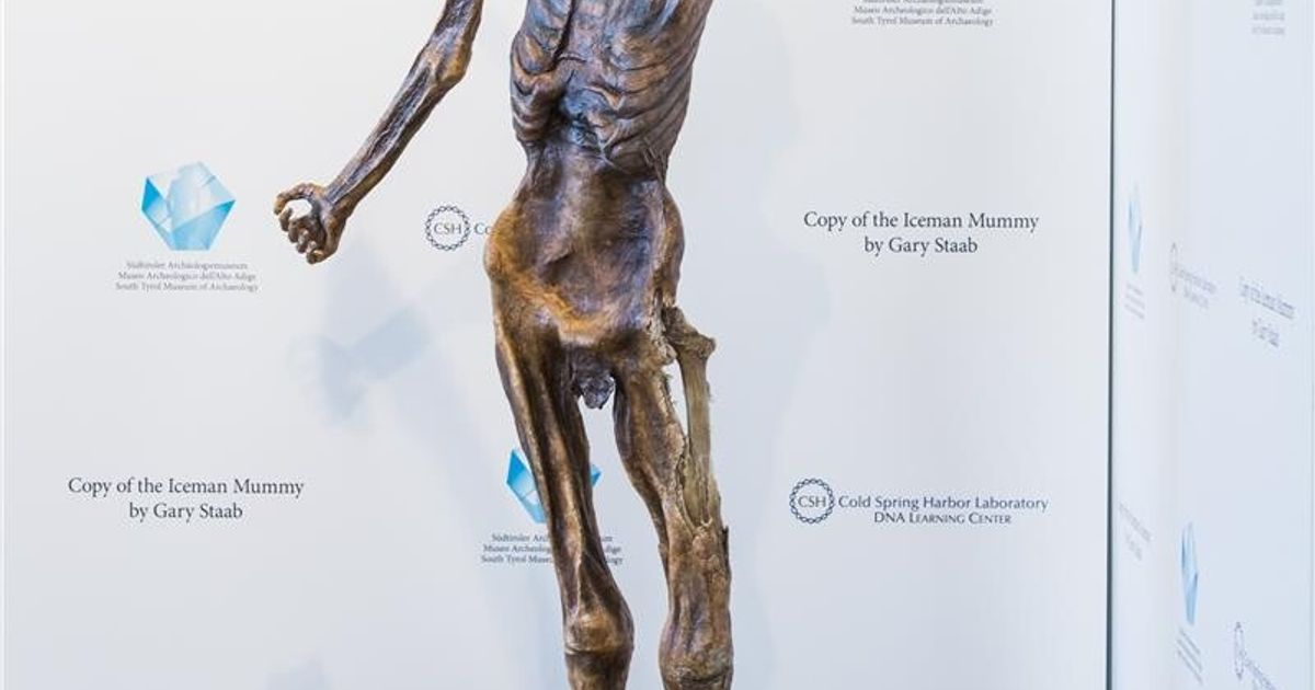 La mummia Oetzi al momento della morte aveva l'arteriosclerosi