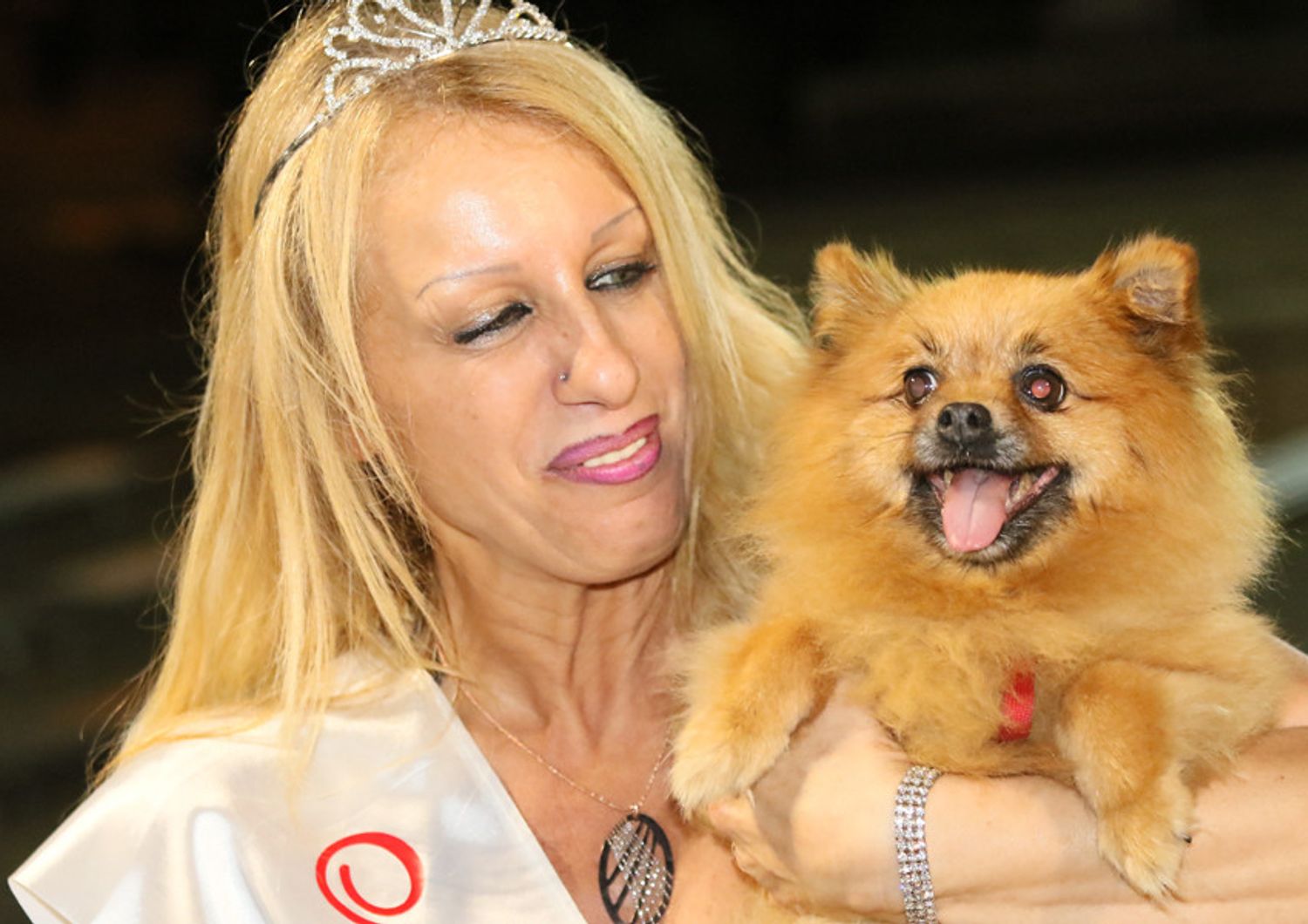 Bionda, ballerina e bresciana, ecco Miss Suocera 2016