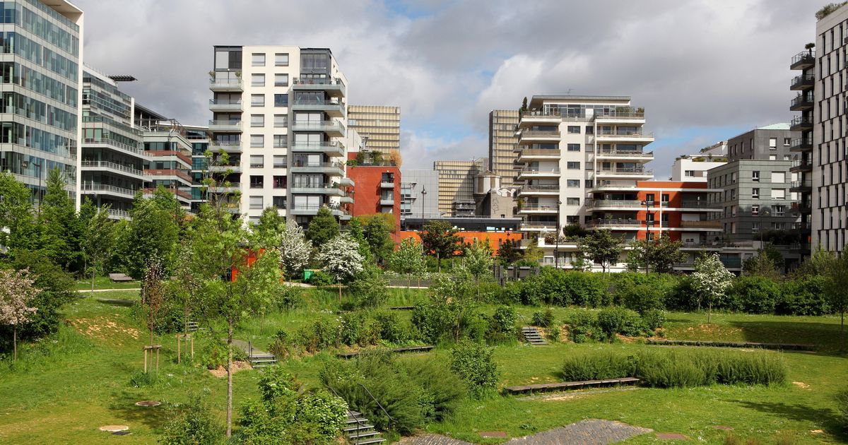 Gli orti urbani salveranno il mondo