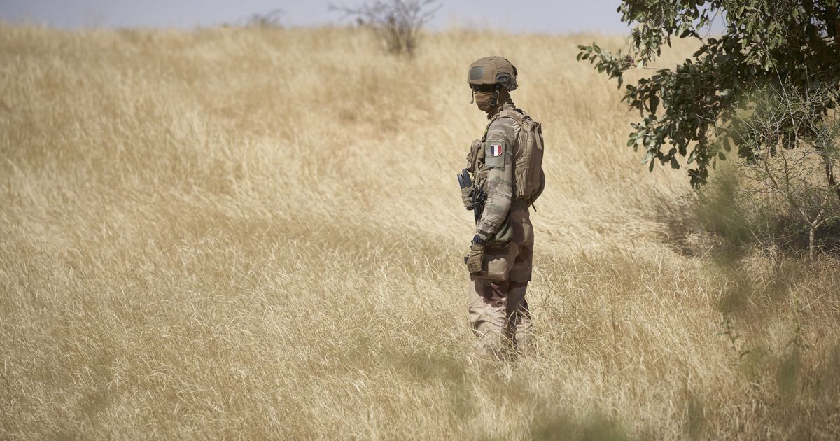 'Italia in prima linea in Sahel nella lotta a terrorismo', dice Del Re