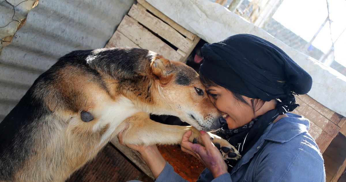 Chi possiede un cane ha un senso di comunità più forte