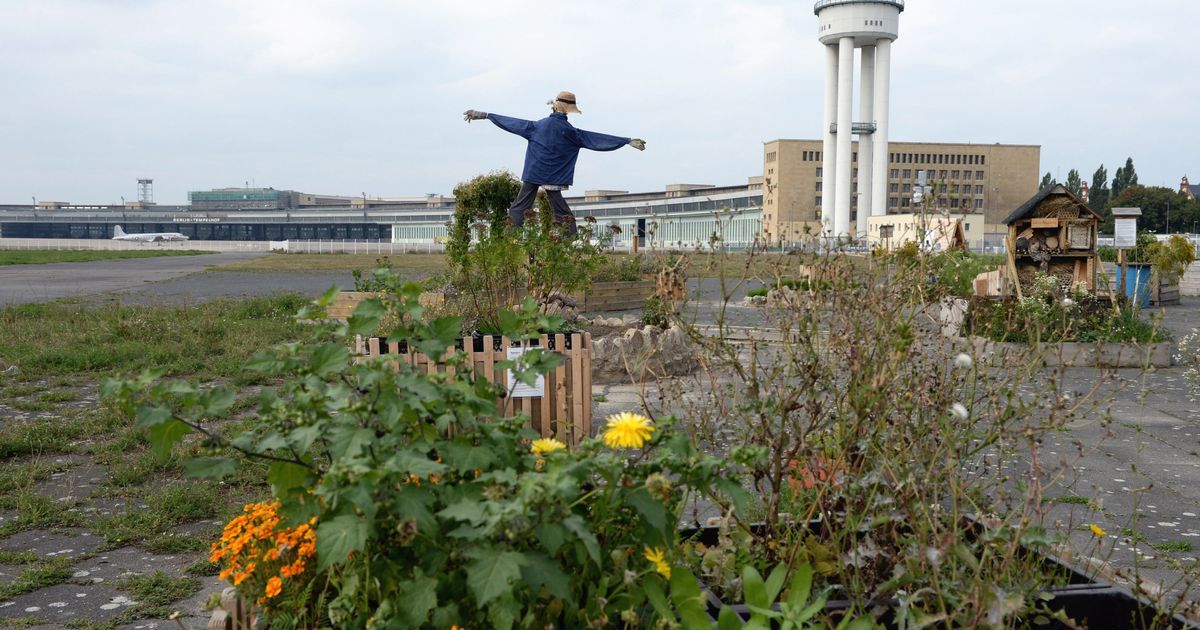 Un network di orti e frutteti, così le città diventano "commestibili"