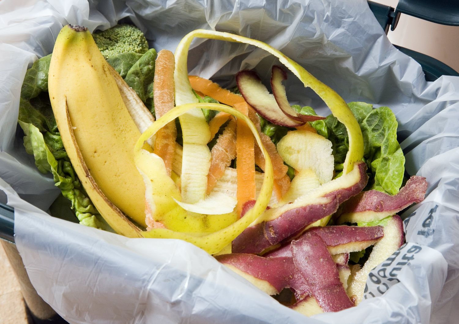 Le regole per smaltire l’umido in modo corretto