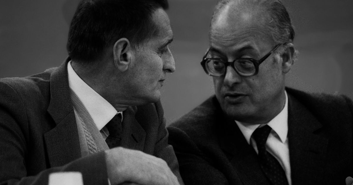 Signorello, l'operaio nella vigna del Divo Giulio