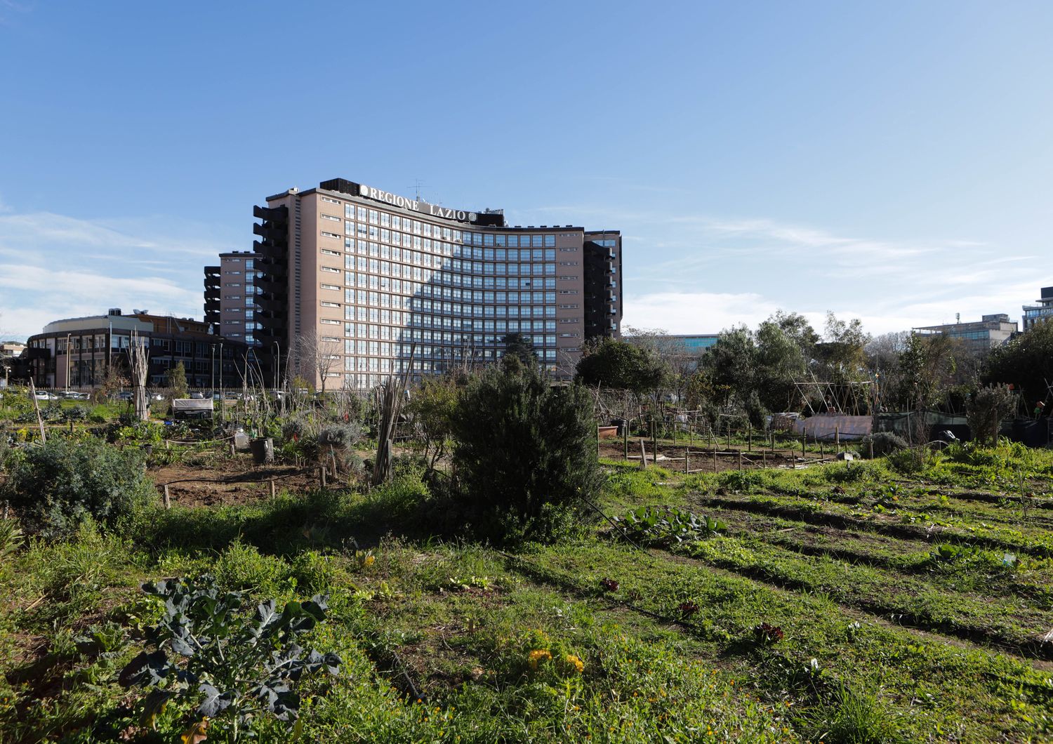 "Qui si coltivano persone". Roma capitale mondiale degli orti urbani