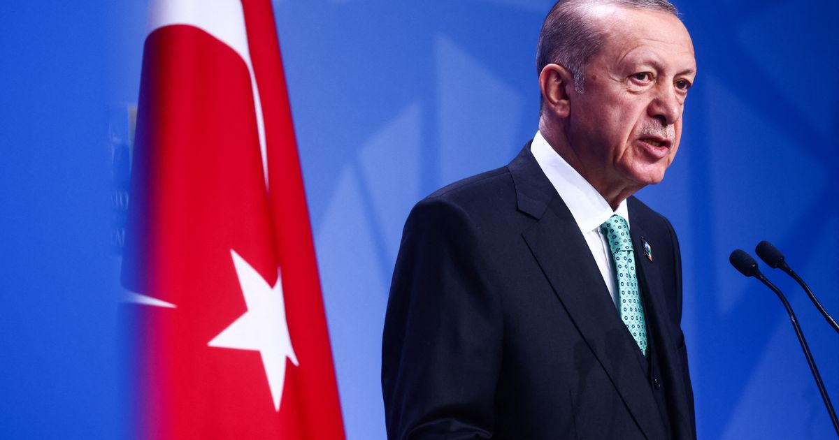 Erdogan vince a Vilnius e si allontana da Putin