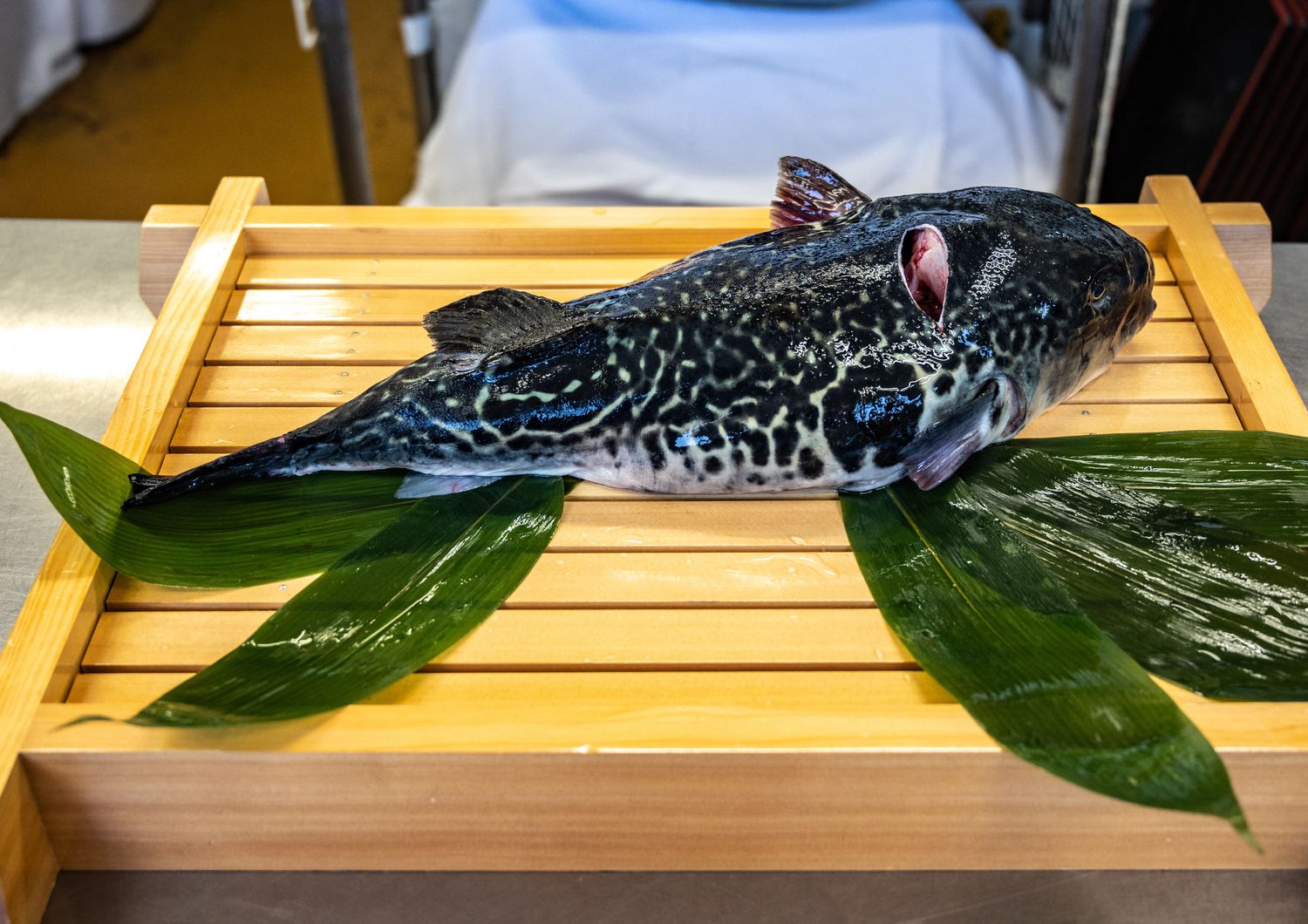 Come riconoscere il pesce che viene da Fukushima