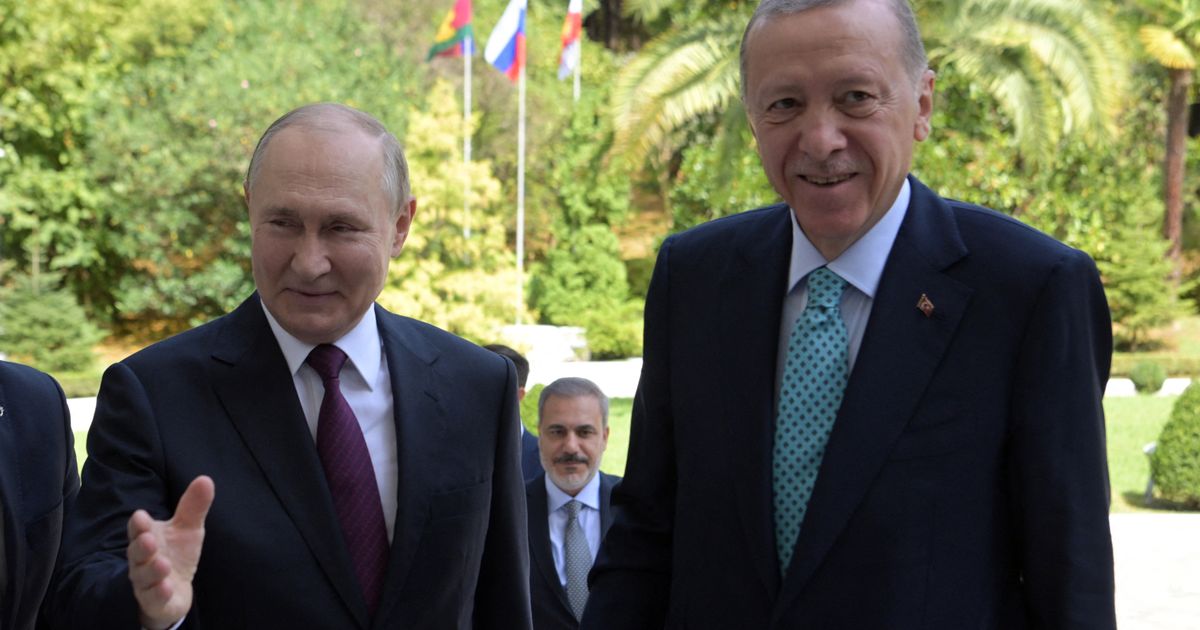 La Russia è pronta a dare cibi gratis all'Africa