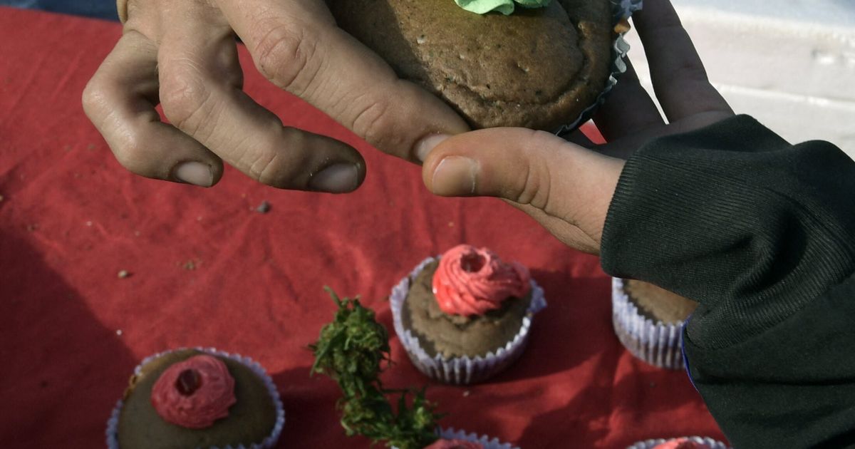 Mangiano muffin alla marijuana, ricoverati 90 bambini in Sudafrica