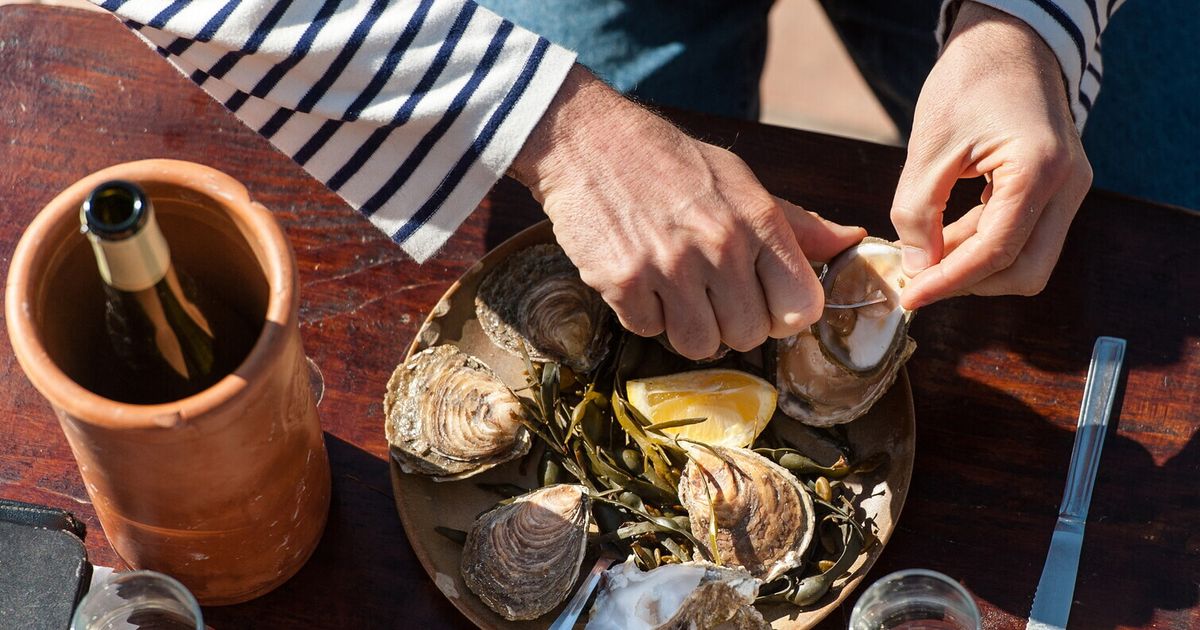 Le ostriche rinascono dal Lago Lucrino