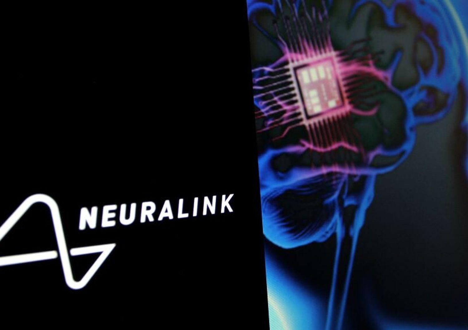 Silicon Box investe in Italia, costruirà un impianto per produrre microchip