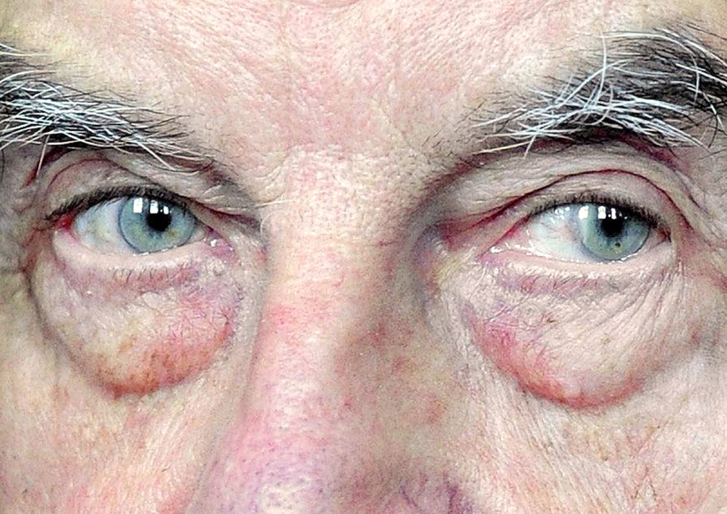 Fritzl, il 'mostro' dell'incesto, non avrà la condizionale