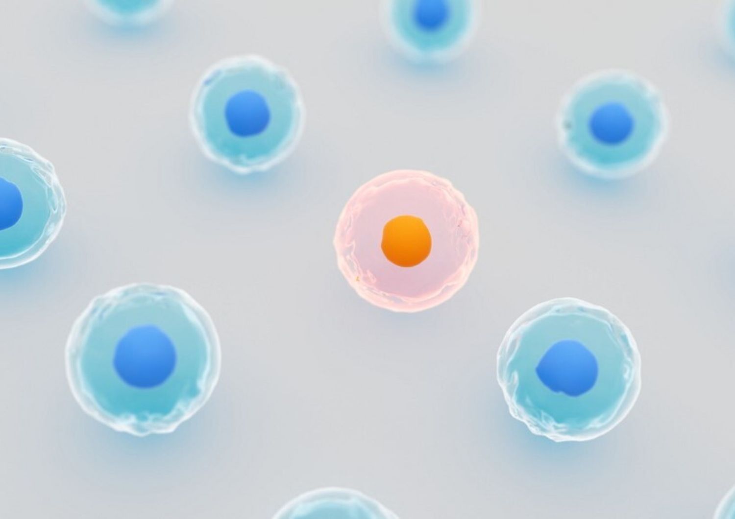 Ecco come si duplicano le cellule cancerose