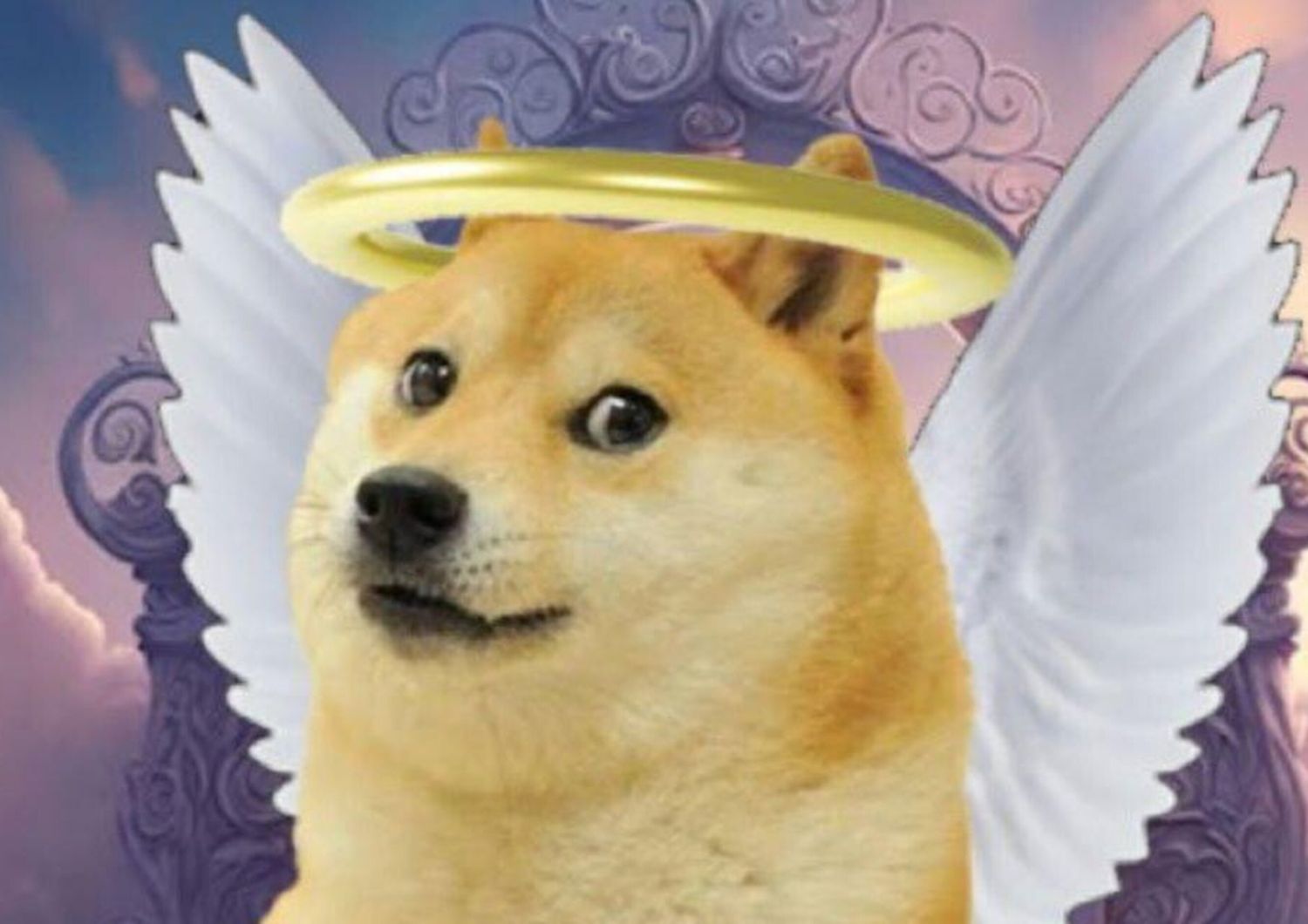 Addio a Kabosu, il cane che ispirò meme e una criptovaluta