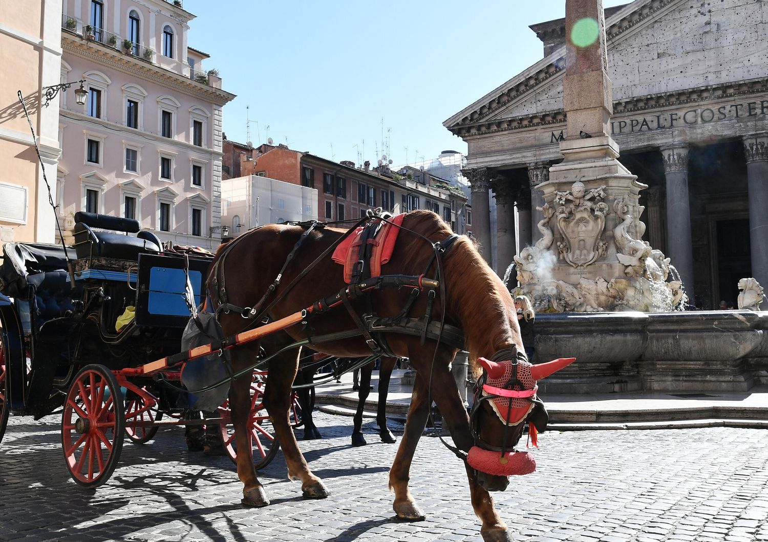 La mozione contro le botticelle non toglie i cavalli dalle strade di Roma