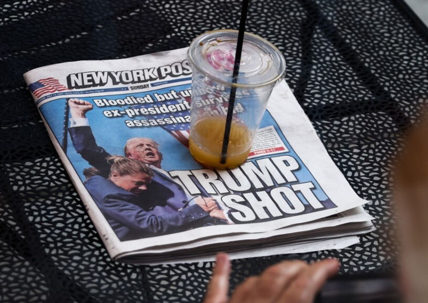 Margelletti, le immagini di Trump ferito sono un'icona