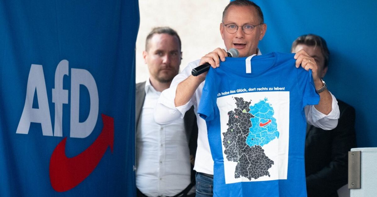 Germania: domani Turingia e Sassonia al voto, paura Afd