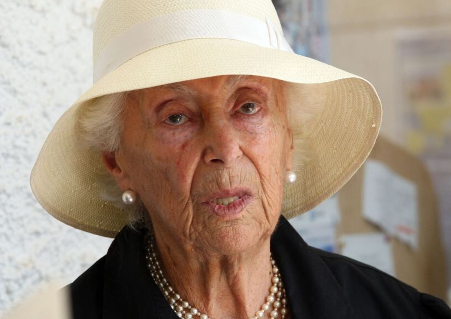 Rapinata la villa di Maria Sole Agnelli a Torrimpietra. Rubata la ...