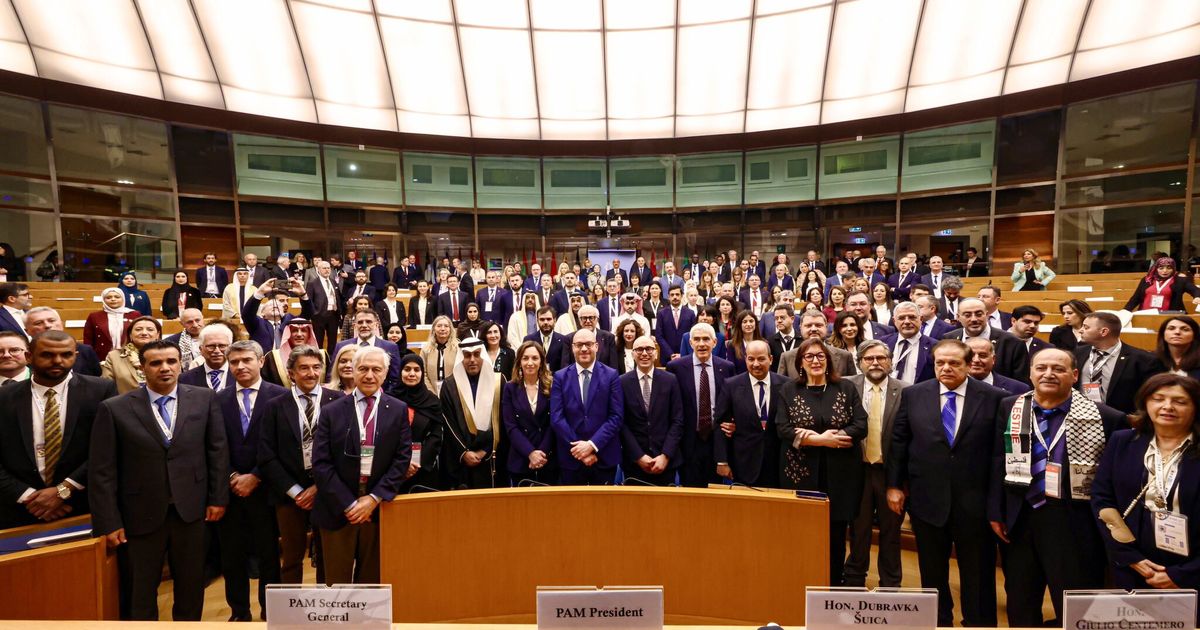 Assemblea parlamentare del Mediterraneo a Roma, eletto presidente l ...