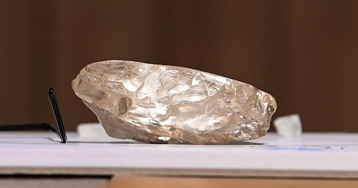 Motswedi si mostra al pubblico ad Anversa