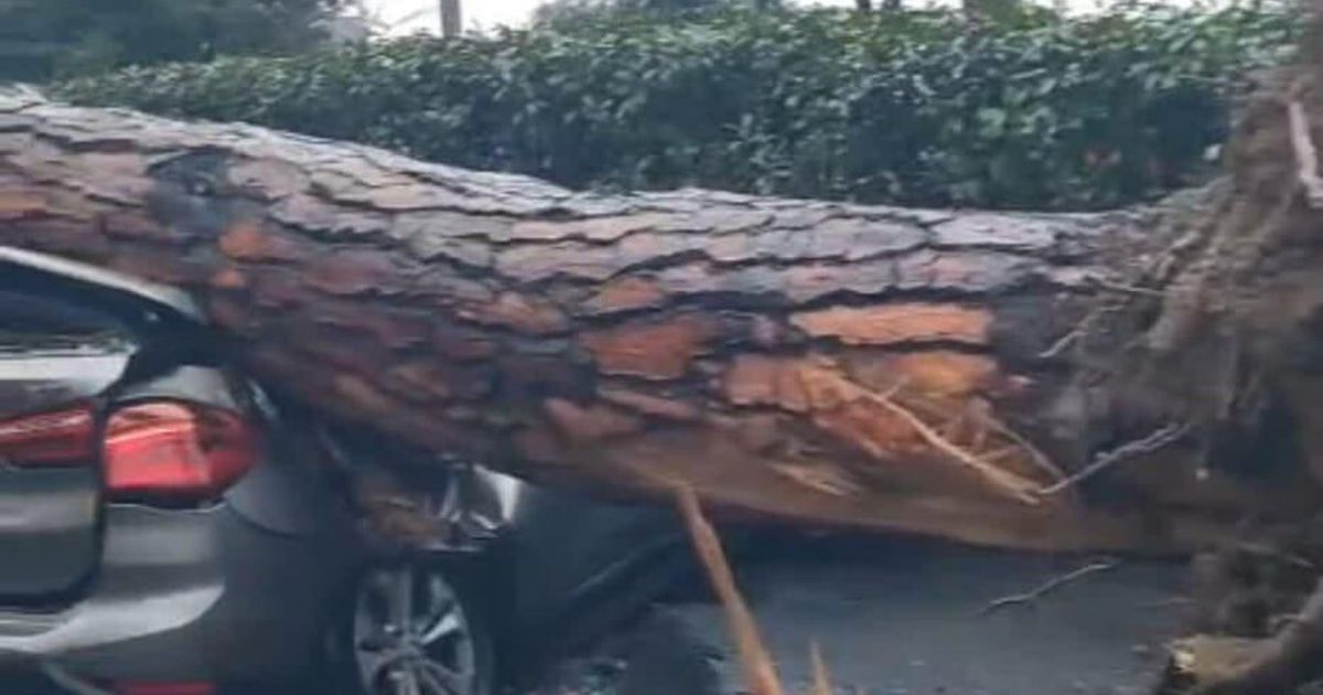 A Roma esonda l'Aniene ed è allerta rossa