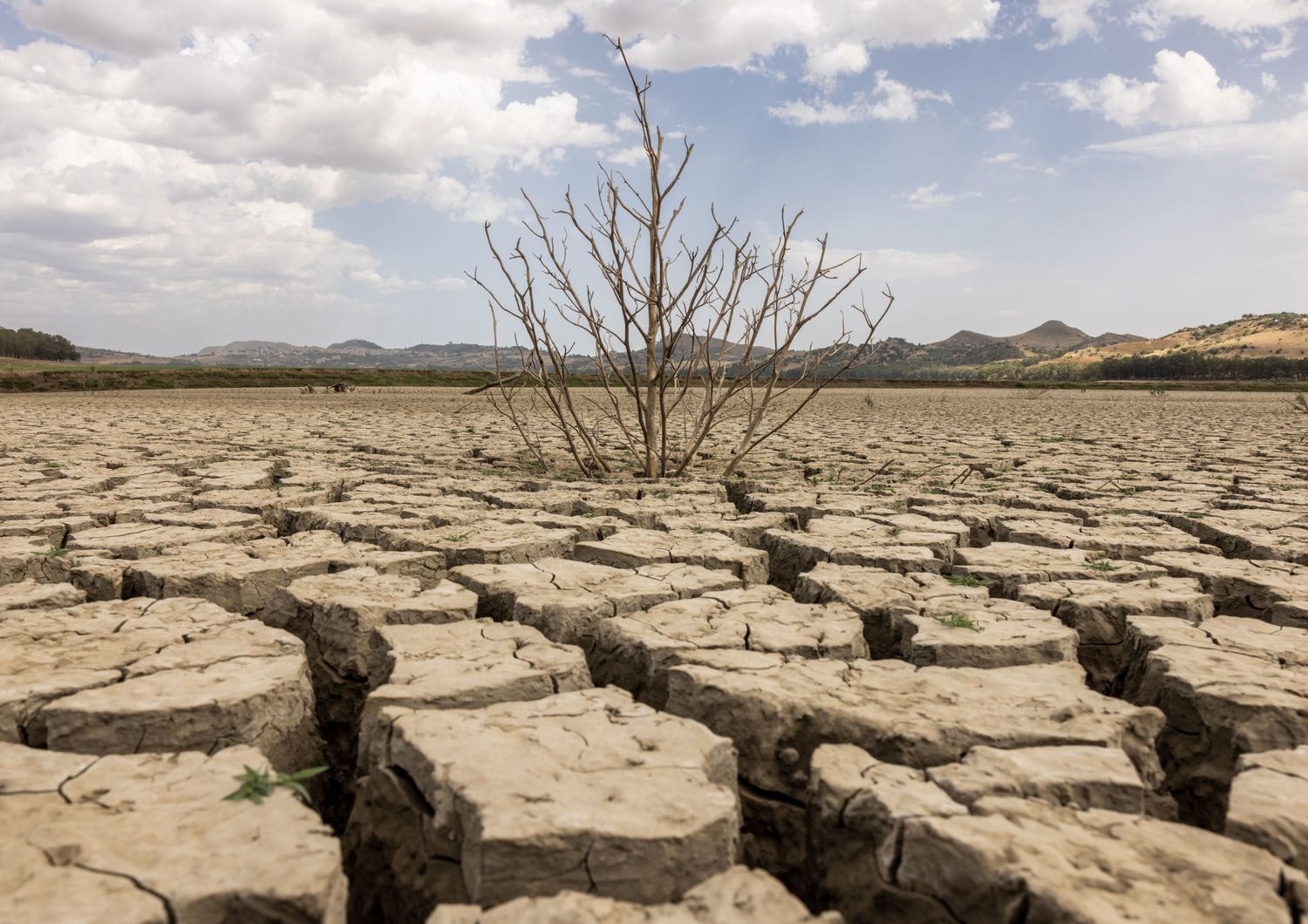 La guida ai deserti d'Italia
