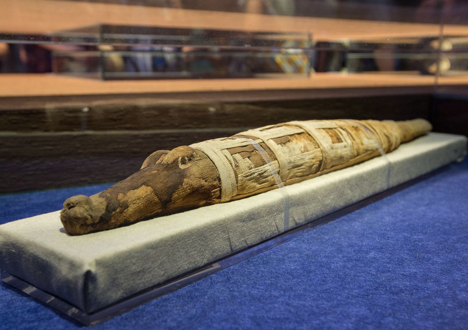 Ritrovati in Egitto coccodrilli mummificati